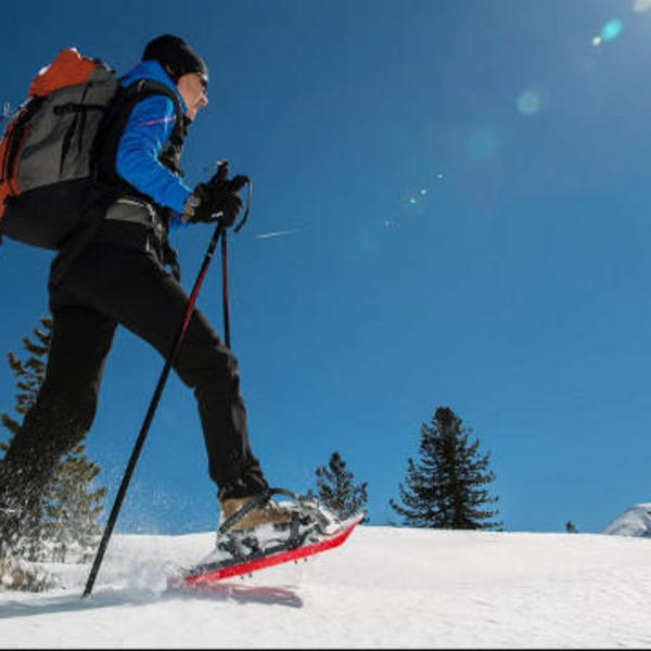 Vivi l'inverno nelle Alpi Carniche e Dolomiti Friulane: Ciaspolata al ...